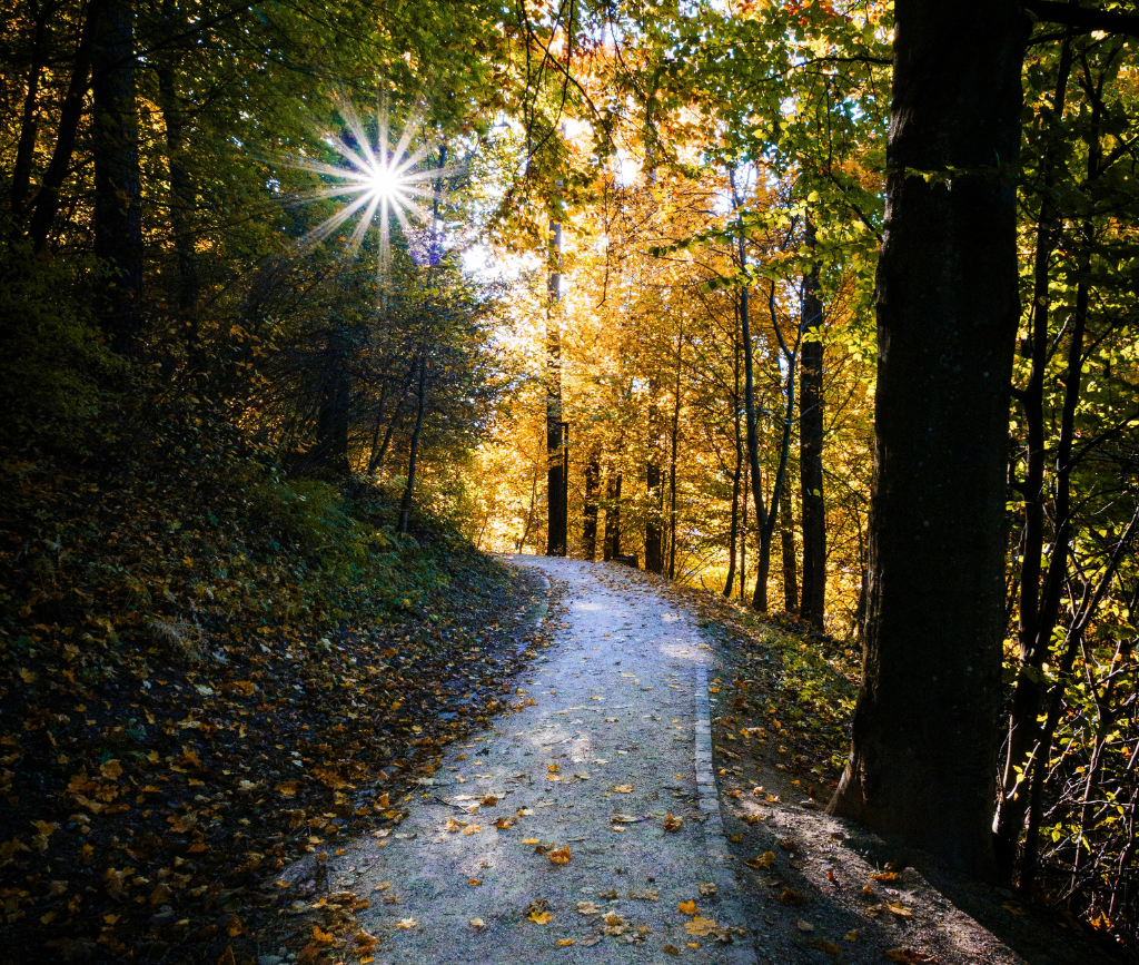 Best of Awake in the World: Finding a Path (30 min guided meditation ...